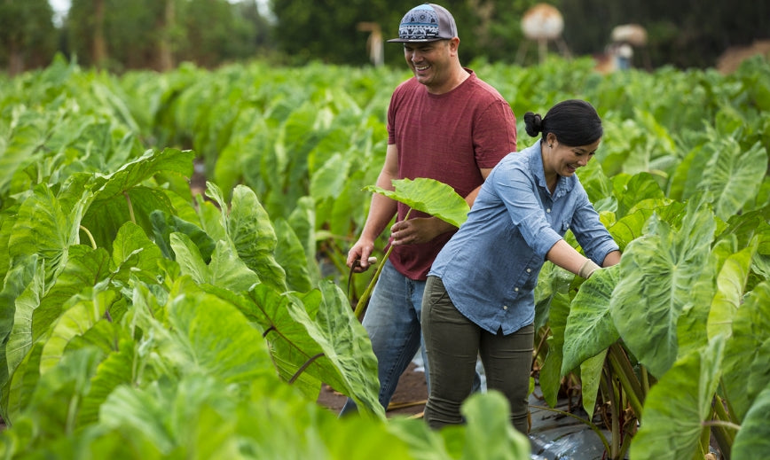 Farm Cafe Tours - North Shore Oahu – Kahuku Farms